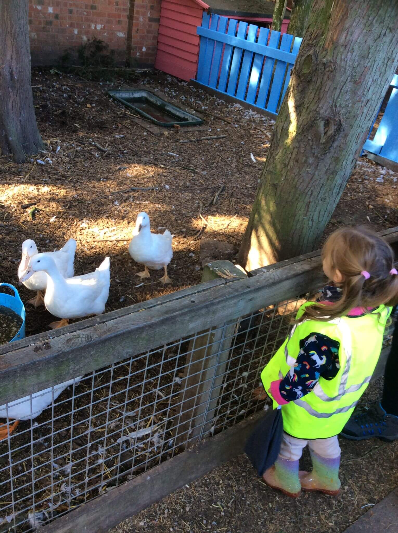 Rainbows at Ash End Farm - Smart Start Day Nursery